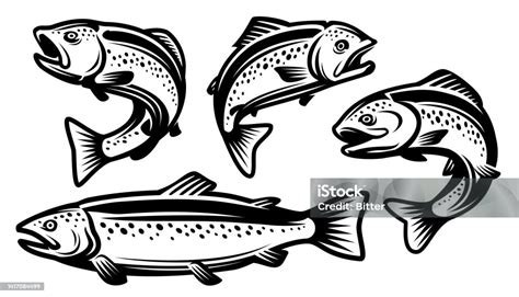 송어 물고기 세트 낚시 해산물 기호 또는 로고 흰색 배경에 고립 된 단색 스타일의 벡터 일러스트 레이 션 물고기에 대한 스톡