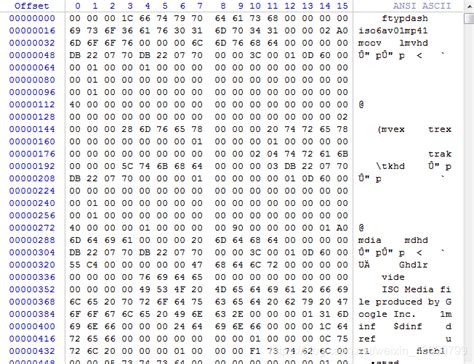 读取mp4文件，数据转化为十六进制，获取所需数据一段视频的16进制 Csdn博客