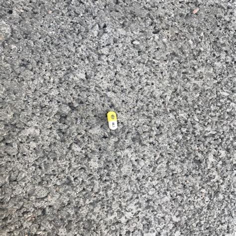 Tabassar Old Dataset Object Detection Dataset And Pre Trained Model By Grad Project