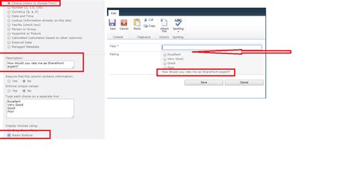 Sharepoint Enterprise Display Description Of Choice Column Type On