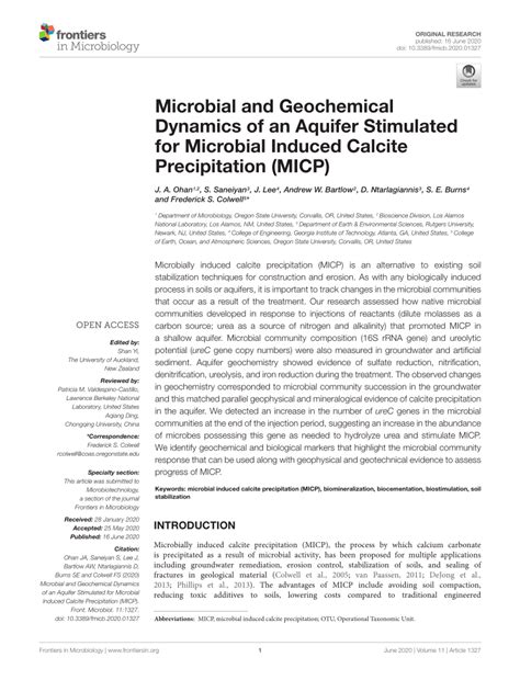 Pdf Microbial And Geochemical Dynamics Of An Aquifer Stimulated For