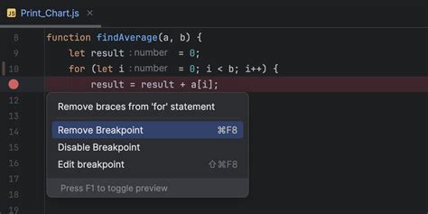 断点 Webstorm 文档