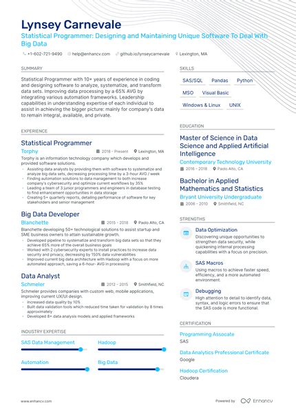 5 Statistical Programmer Resume Examples Guide For 2023
