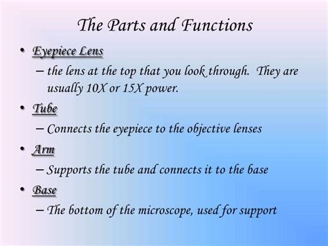 Eyepiece Lens Microscope Function At Alfredo Montano Blog