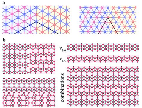 A Atomic Structure Of Tilt Gbs In Borophene Red And Blue Atoms