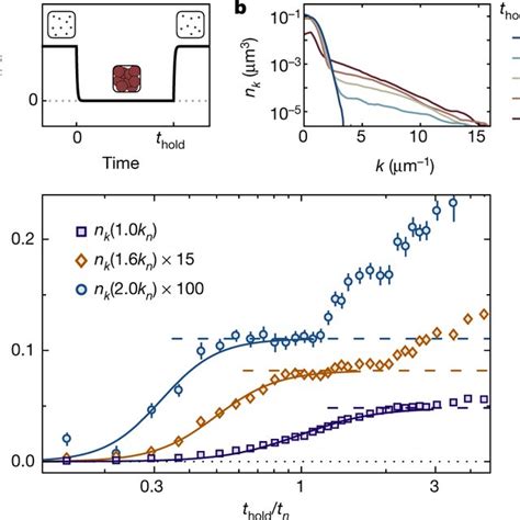 Simulated Quantum Annealing In The Open System Using A Monte Carlo