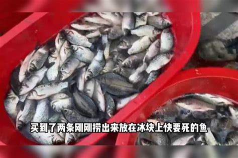 刘涛身价上亿，为图便宜让保姆去买死鱼吃，是真节俭还是在作秀刘涛身价