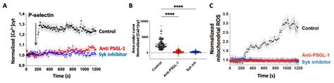 Platelet Selectin Prime Lupus Neutrophils To Produce Mitochondrial Ros And Participate In Sle