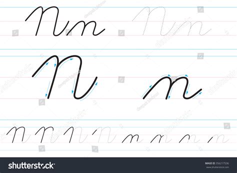 Cursive Letters Learning Write Nn Stock Vector Royalty Free 356217536 Shutterstock