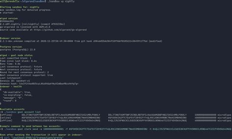 Introducing Sandbox Algorand Developer Portal