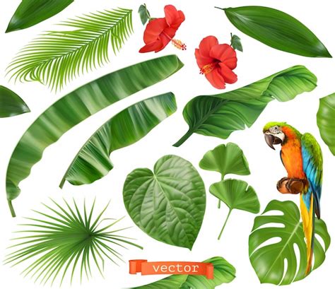 Plantkunde Set Van Bladeren En Bloemen Tropische Planten 3d