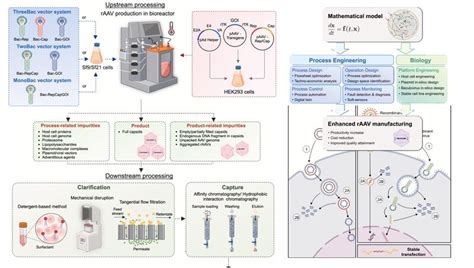 polymodels hub on linkedin the state of technological advancement to address challenges in the…