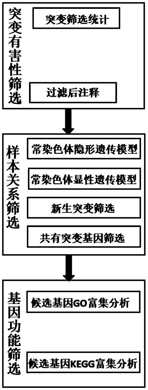 Biological Information Analysis Method For Human Single Gene Genetic Disease Detection Eureka