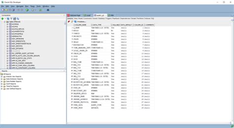Oracle 19c On Windows Server 2019 Installation Guide