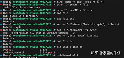 书生大模型实战营第三期 入门岛第一关 知乎