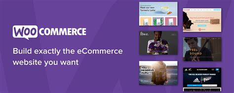 16 Best Wordpress Ecommerce Plugins For Your Online Store