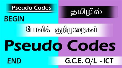 Pseudo Code In Tamil O L Ict Grade 11 Youtube