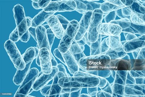 장내 세균 그람 음성 막대 모양의 박테리아 장내 미생물의 일부 및 다른 감염의 원인 물질 3d 렌더링 대장균 Klebsiella Enterobacter 및 기타 젖산균에