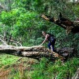 Redhead Lagoon Trail New South Wales Australia Alltrails