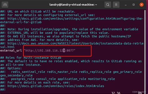 在ubuntu上部署gitlab详细步骤 ubuntu gitlab CSDN博客