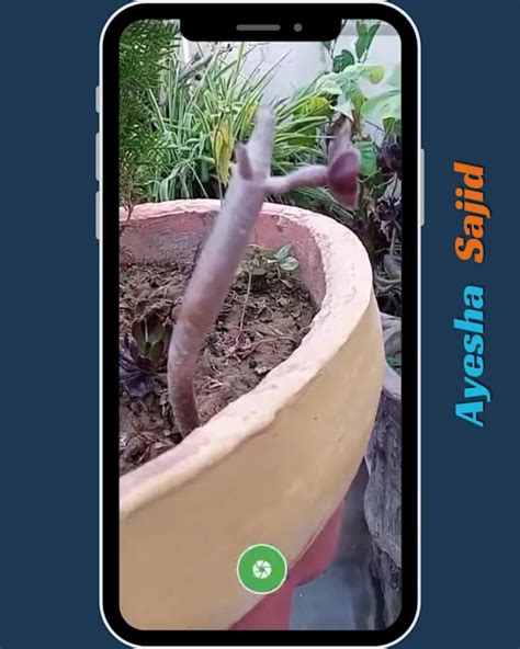 Add New Features And Machine Learning Models To Your Existing Flutter