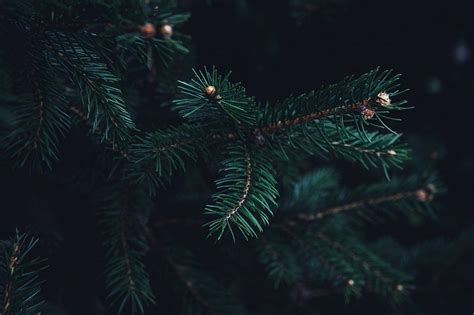 Parallel Structure In English We Can Create Parallel By Diyora