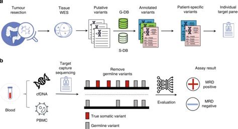 Imbdx On Linkedin Personalised Circulating Tumour Dna Assay With Large Scale Mutation