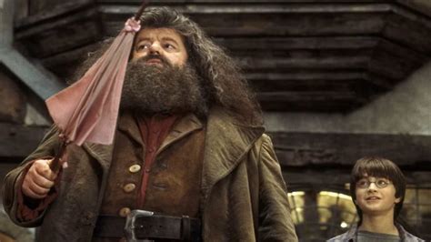 Harry Potter 7 Things That Still Dont Make Sense About Hagrid