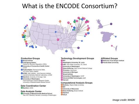 implementation of gpu based bioinformatic tools at the encode dcc pptx