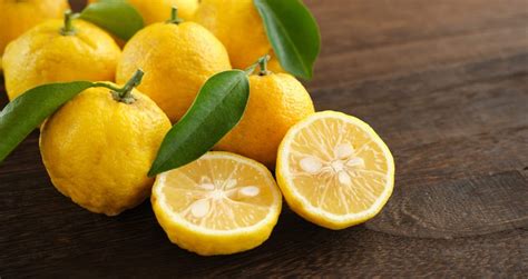 All About Japanese Yuzu Background Benefits And Uses Tokyo Weekender