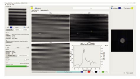 Electric Magnetic Field Mapping Nanomegas