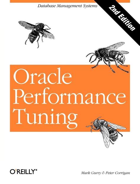 Oracle Performance Tuning Database Management Systems Nutshell