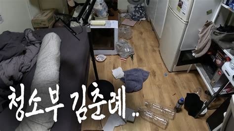 일상 Vlog 쉬는 날의 청소 Vlog Youtube