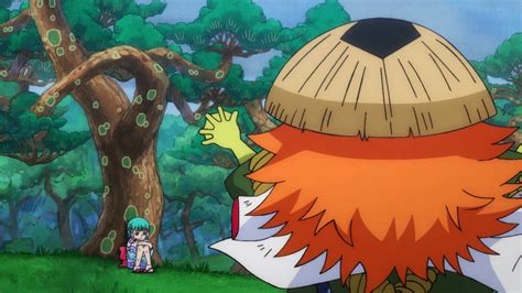 Who Is Kozuki Hiyori In One Piece