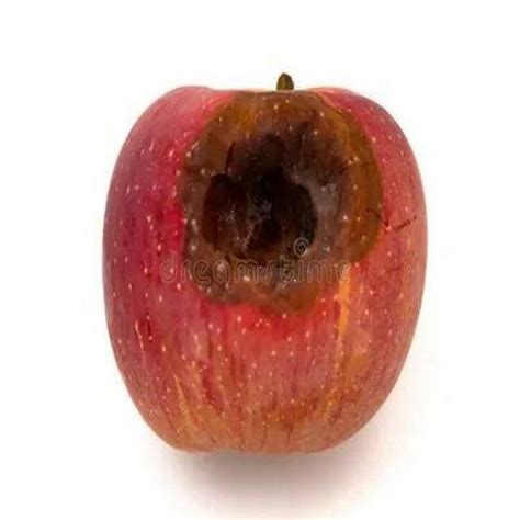 Apples Object Detection Dataset V Pm By Ds