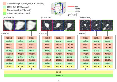 Multi Stream Multi Scale Cnn Architecture For Pulmonary Nodule Download Scientific Diagram