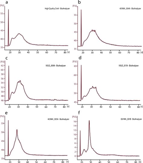 Bioanalyzer Electropherograms Of Microaray Targets Ele Open I