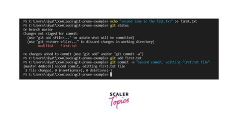 git prune scaler topics
