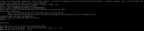 Using Java Spring Boot To Administrate Secrets Management Access Policies Cyberark Developer