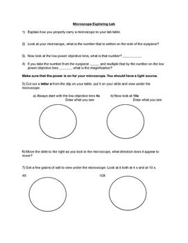 Exploring Microscope Lab By For The Love Of Biology TPT
