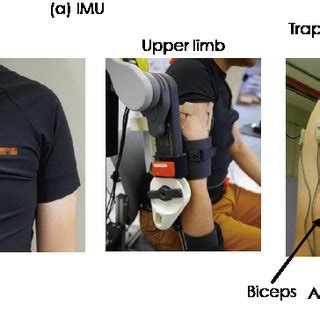 Sensor Conditions A IMU Sensors Were Place On Body And Upper Limbs Download Scientific