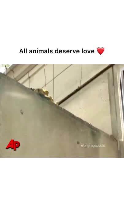 Meenakshi Dakshinamoorthy Posted On Linkedin