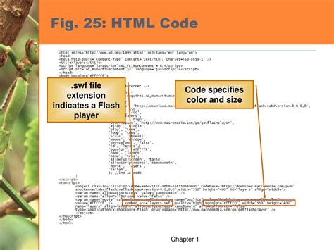 Adobe Flash Cs3 Revealed Ppt Download