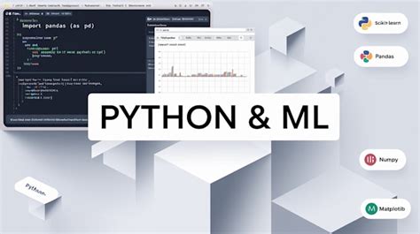 Complete Your Basic Python Coding Assignments By Risingfalcon354 Fiverr