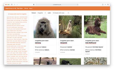 Github Cleanlab Label Errors Corrected Test Sets For Imagenet Mnist Cifar Caltech