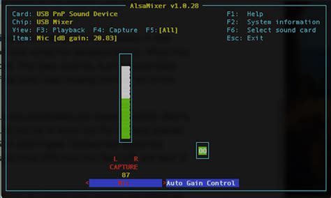 Custom Built Echo On Raspberry Pi ICircuit