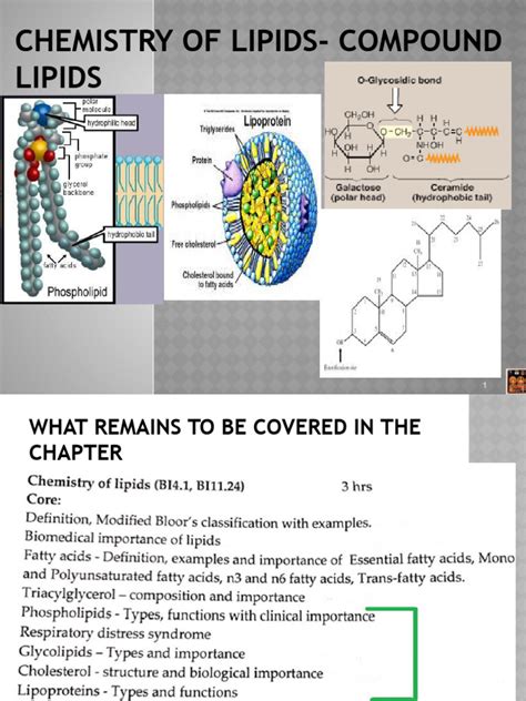 16 October 2023 Chemistry Of Lipids Lecture 3 Pdf