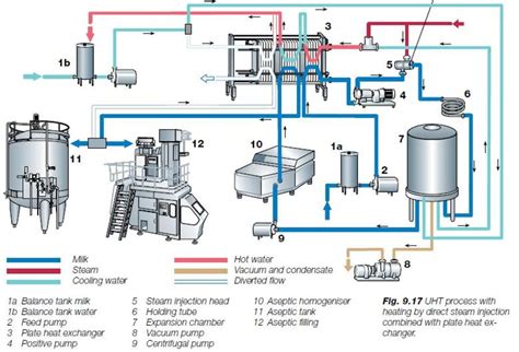 UHT Processed Aseptically Packaged Milk And Its Consumer Benefits