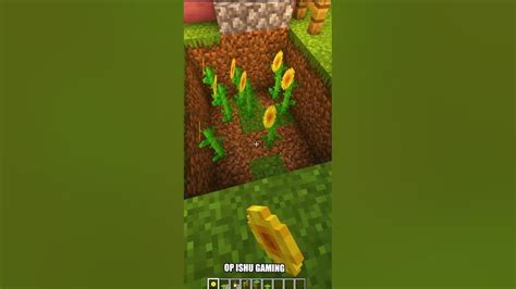 Minecraft How To Get Rid Zombie Sigma Boy Minecraft Short Shorts Youtube