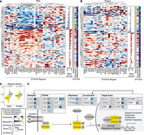 Integrative Multi Omic Cancer Profiling Reveals Dna Methylation
